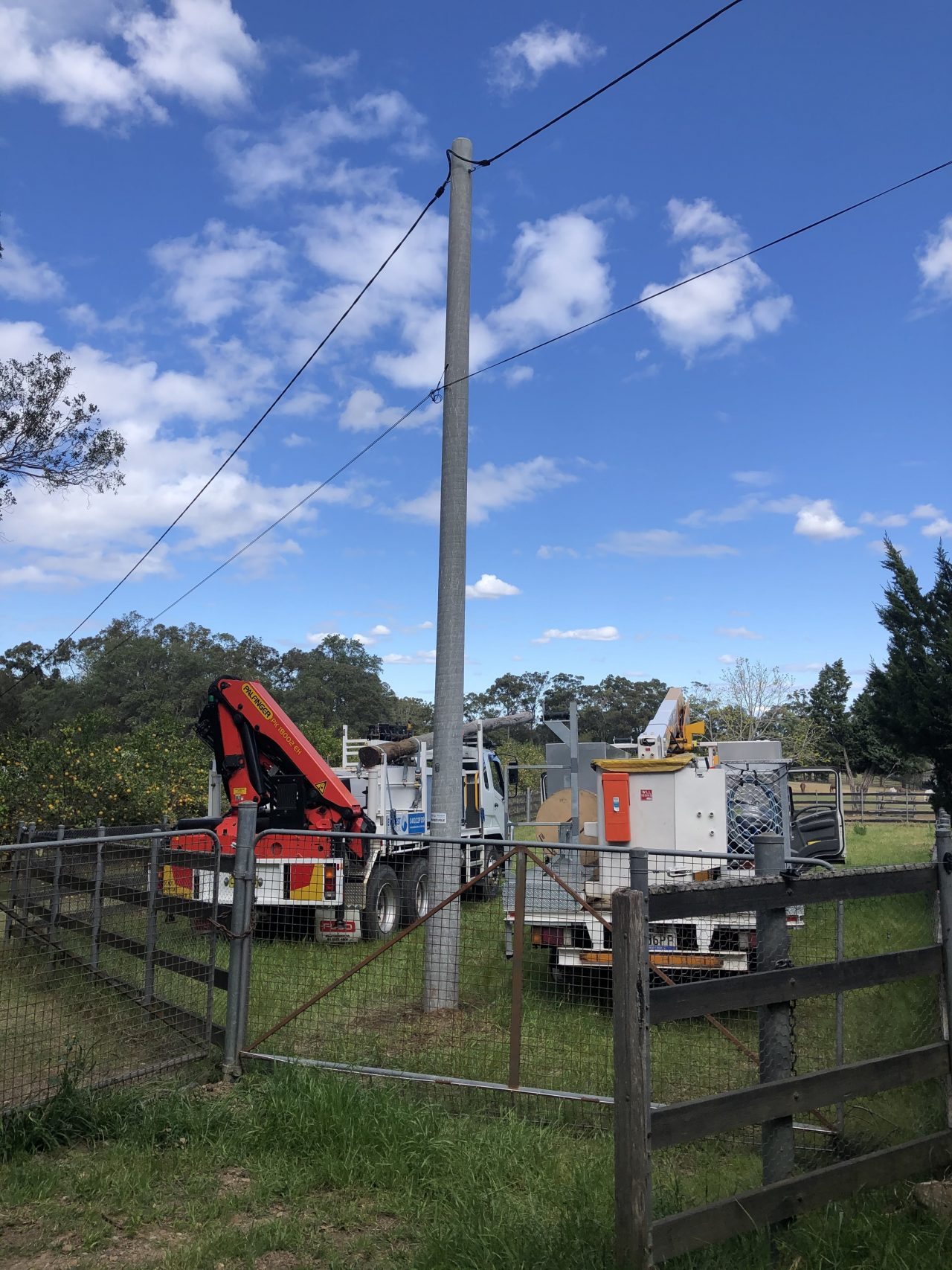 9 Metre Titan Private Pole Replacement - Dural - Everest Electrical